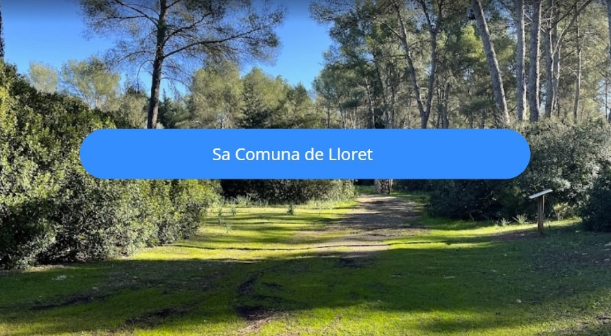 Excursión a Sa Comuna de Lloret - Excursiones en Mallorca